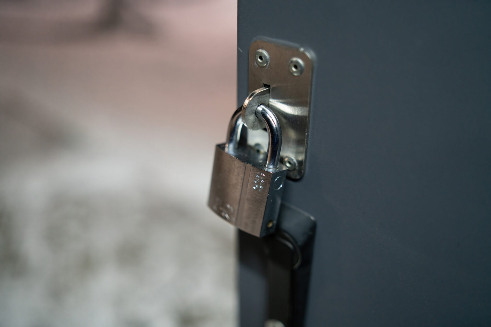 Disc Locks vs Padlocks: The Best Storage Unit Locks